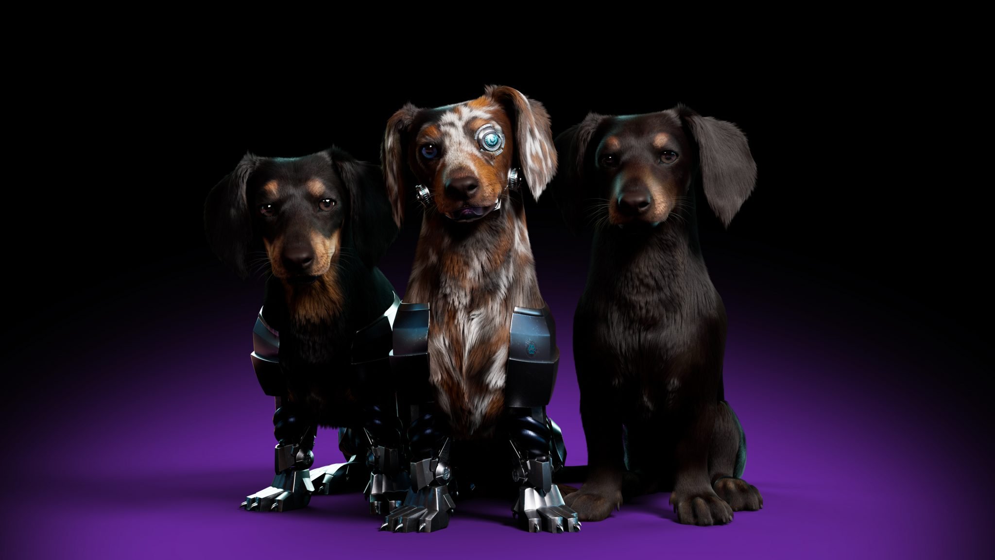 Startup Launches 3D AI-Driven Crypto Digital Pets for the Metaverse ...